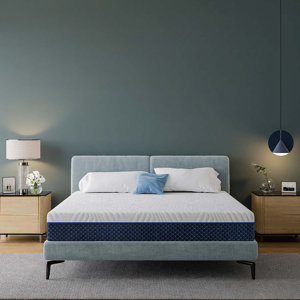 Wayfair Sleep™ Wayfair Sleep 10" Firm Memory Foam Mattress & Reviews | Wayfair